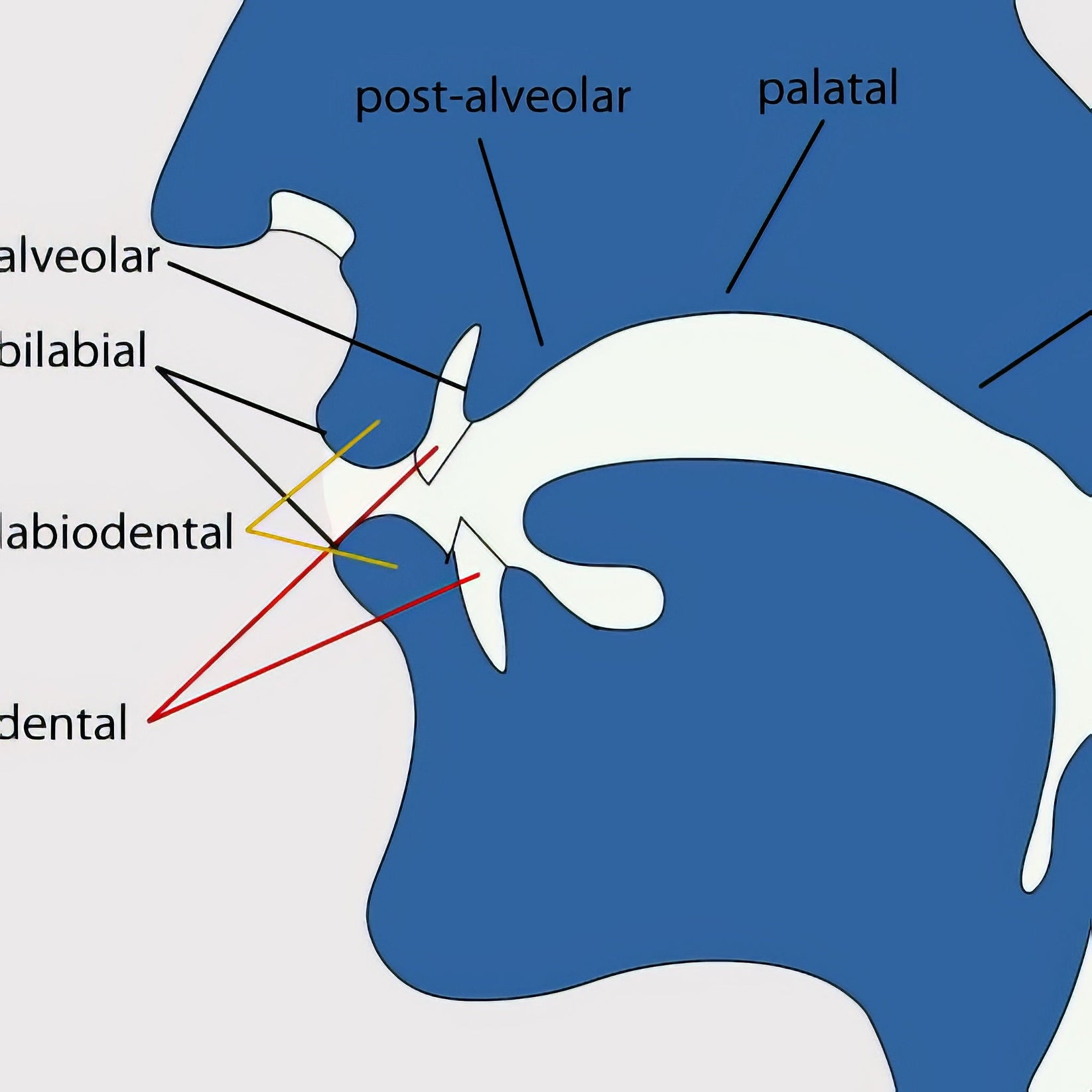 Articulation Studies (Sheet Music)