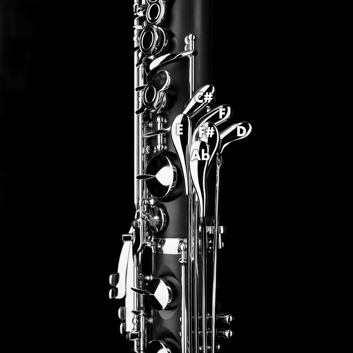 The Backun Alpha is here — and Earspasm has a TON of them.